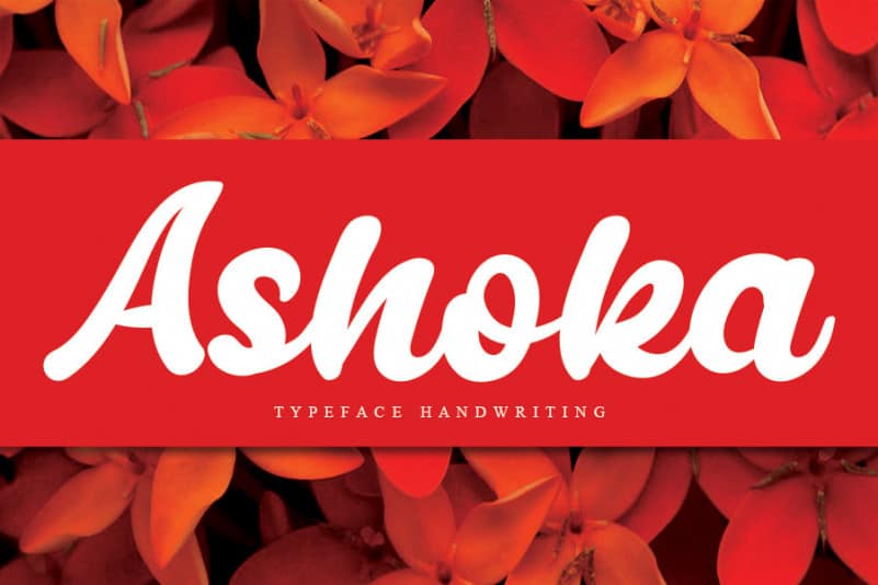 Download Ashoka font | fontsme.com