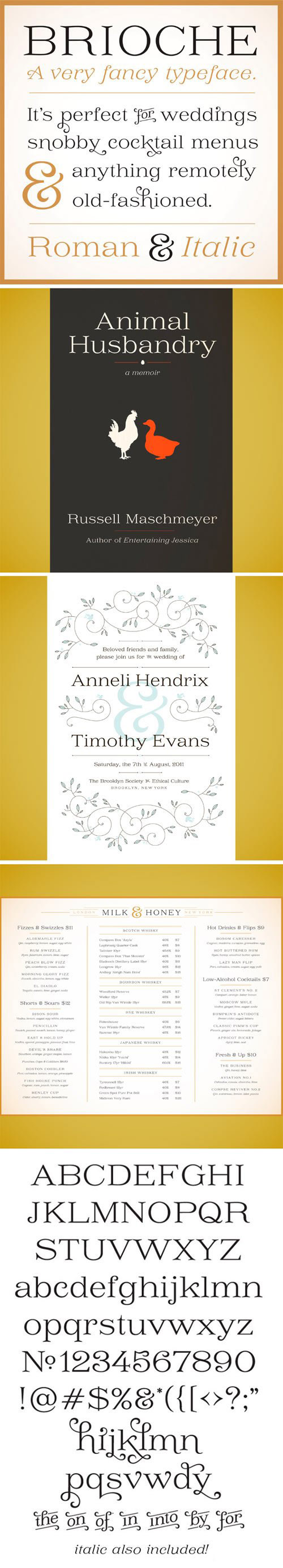 Download Brioche font | fontsme.com