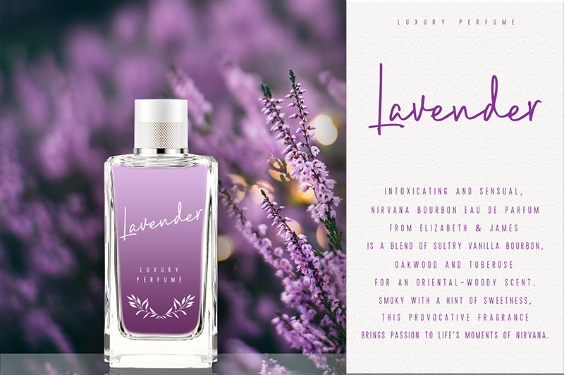 Download Brush Wayne font | fontsme.com