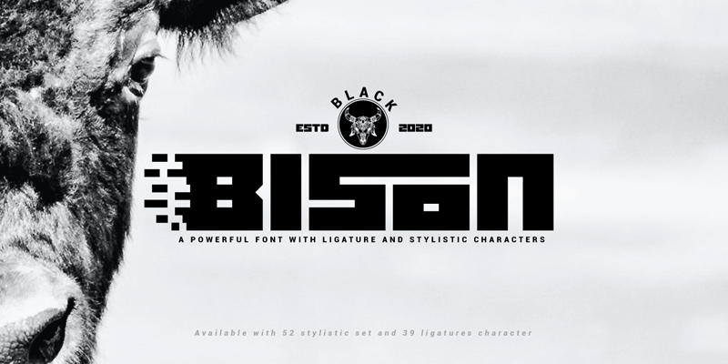 Download Black bison font | fontsme.com