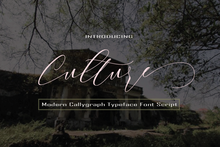 Download Culture font | fontsme.com