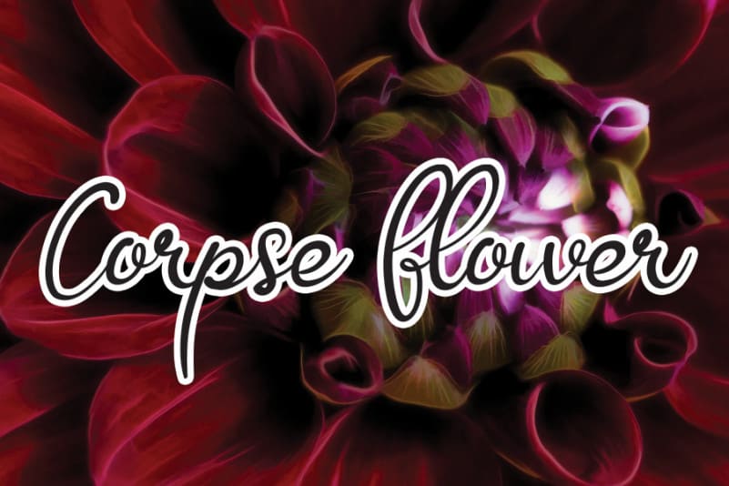 Download Corpse Flower font | fontsme.com