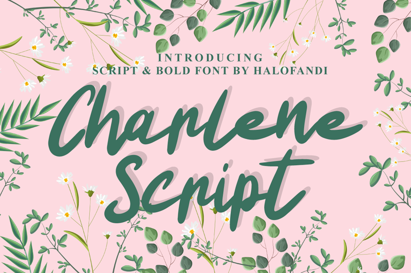 Download Charlene Script font | fontsme.com