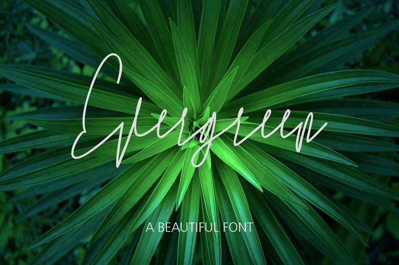 Download Evergreen Free font | fontsme.com