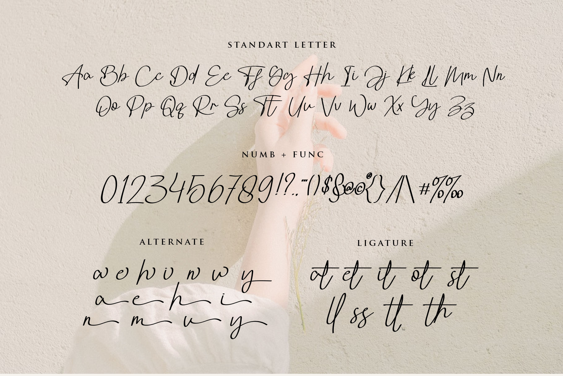 Download Findream font | fontsme.com