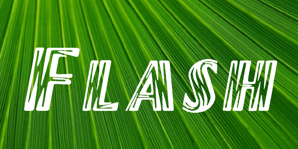 Download Flash font | fontsme.com
