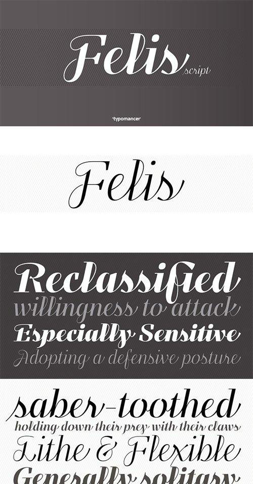 Download FelisScript font | fontsme.com