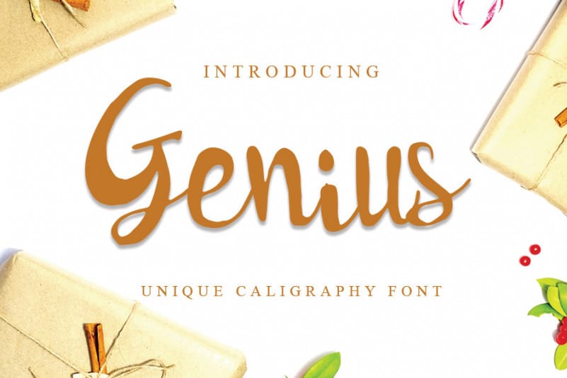 Download Genius font | fontsme.com