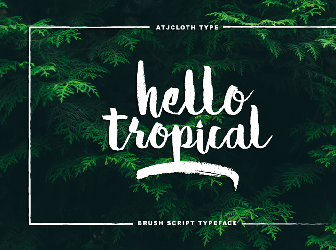 Download 16 free tropical fonts | fontsme.com