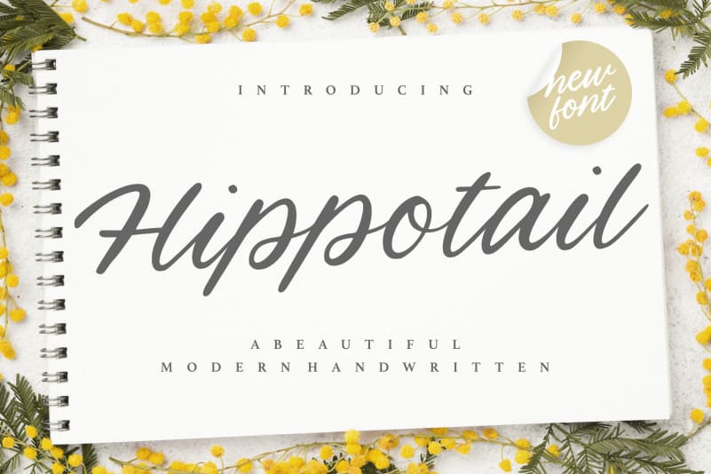 Download Hippotail font | fontsme.com