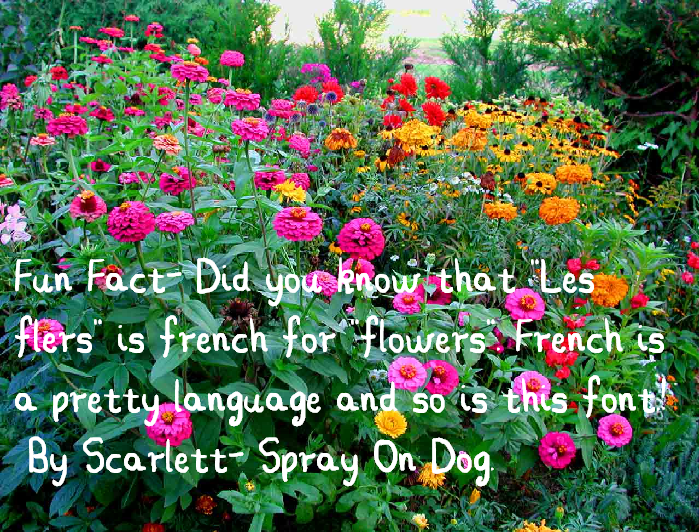 Download Les Fleurs font | fontsme.com