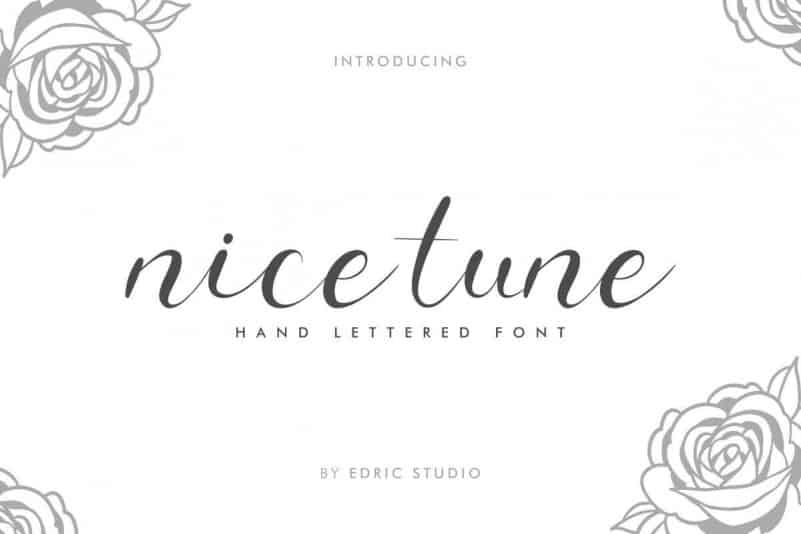 Download Nice Tune Demo font | fontsme.com