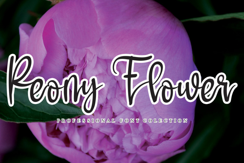 Download Peony Flower font | fontsme.com