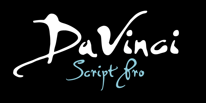 Download PF DaVinci Script Pro font | fontsme.com