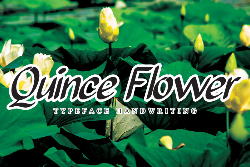 Download Quince Flower font | fontsme.com