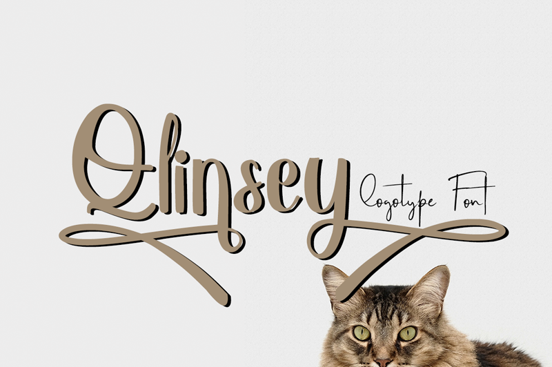 Download Qlinsey font | fontsme.com