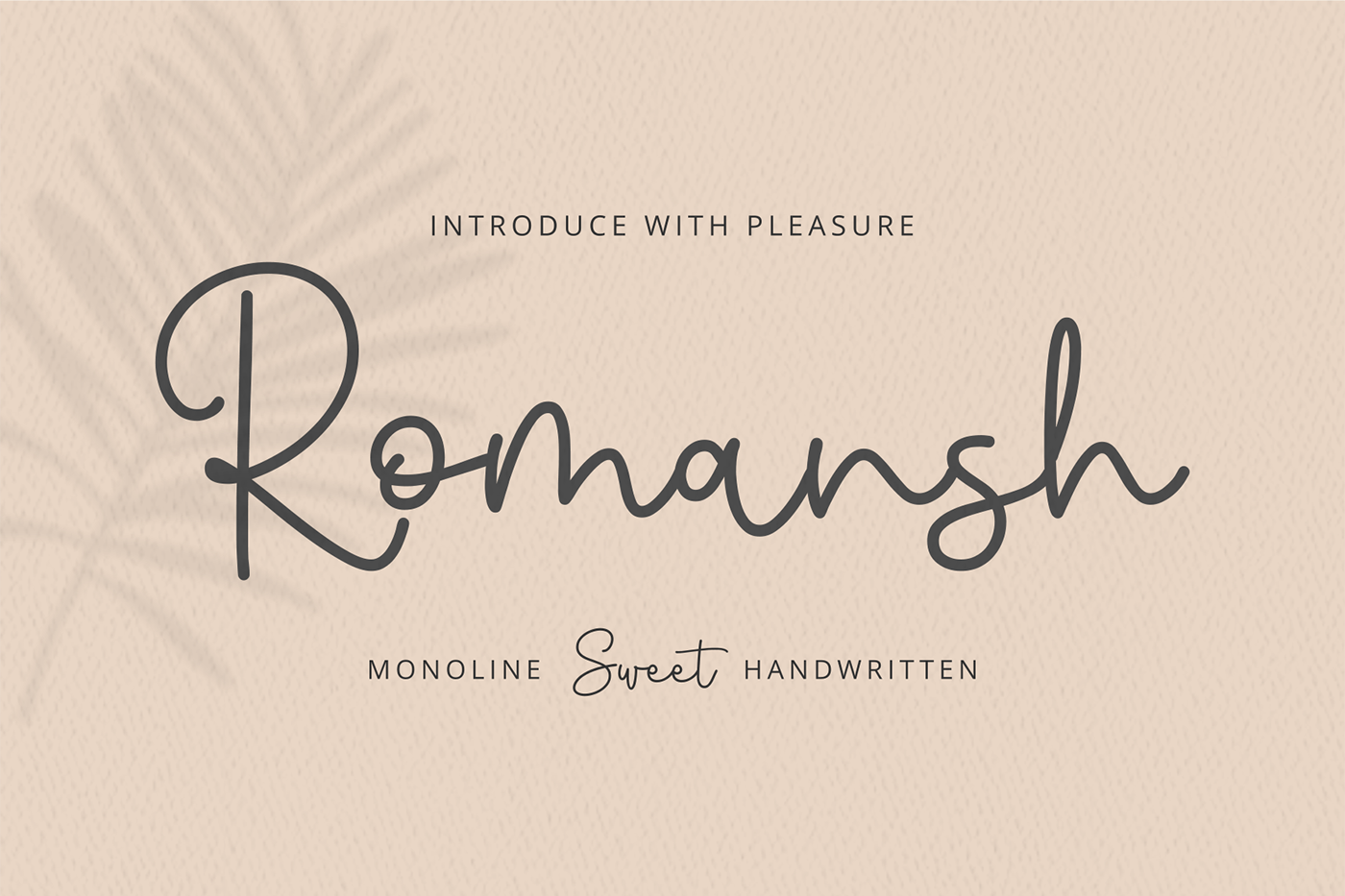 Download Romansh font | fontsme.com