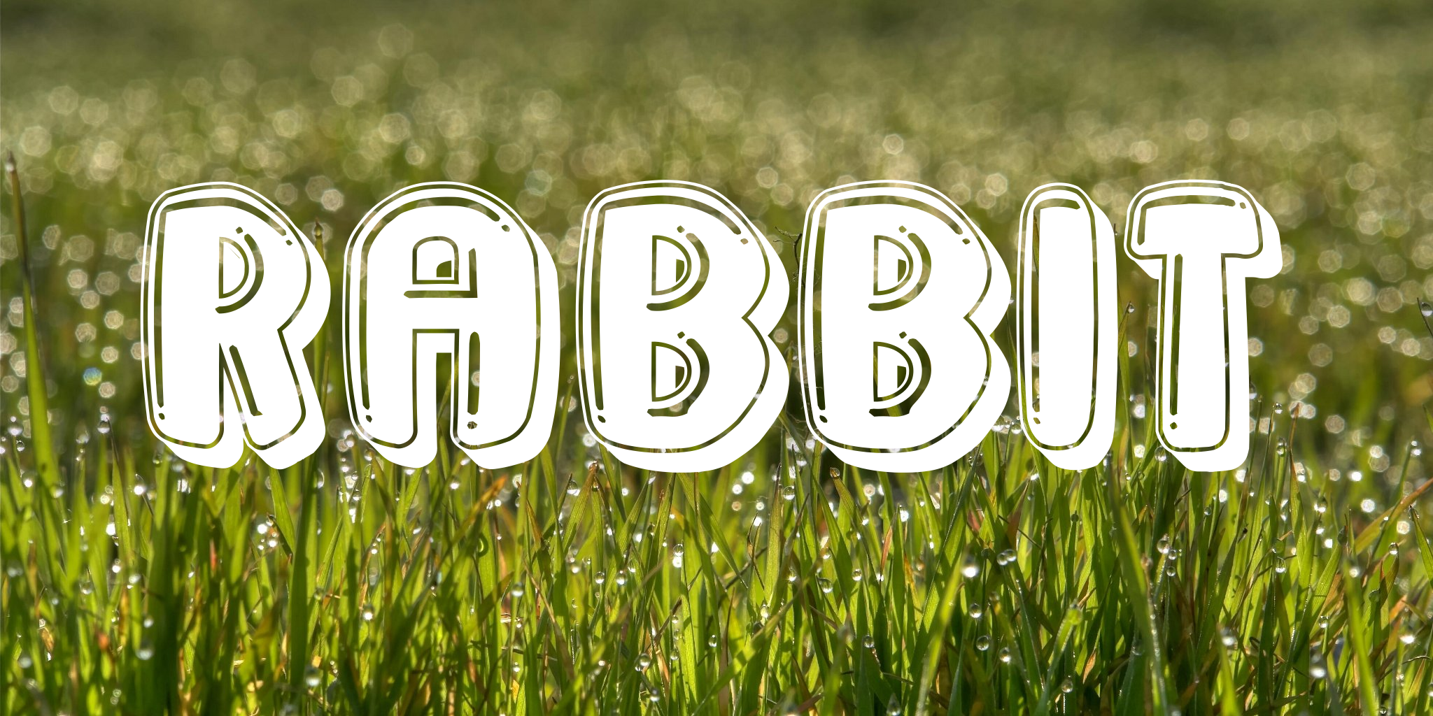Download Rabbit font | fontsme.com