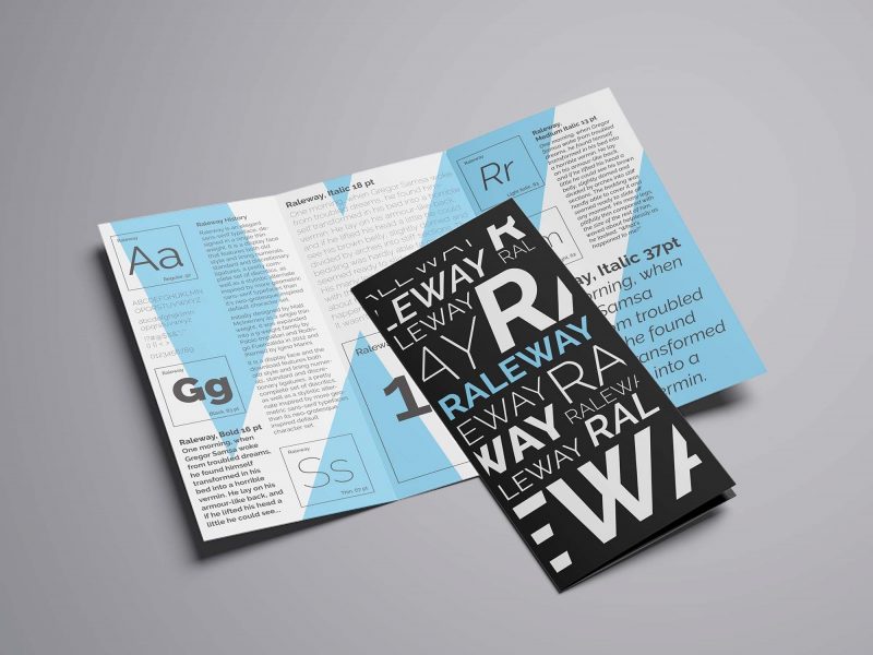 Download Raleway Black font | fontsme.com