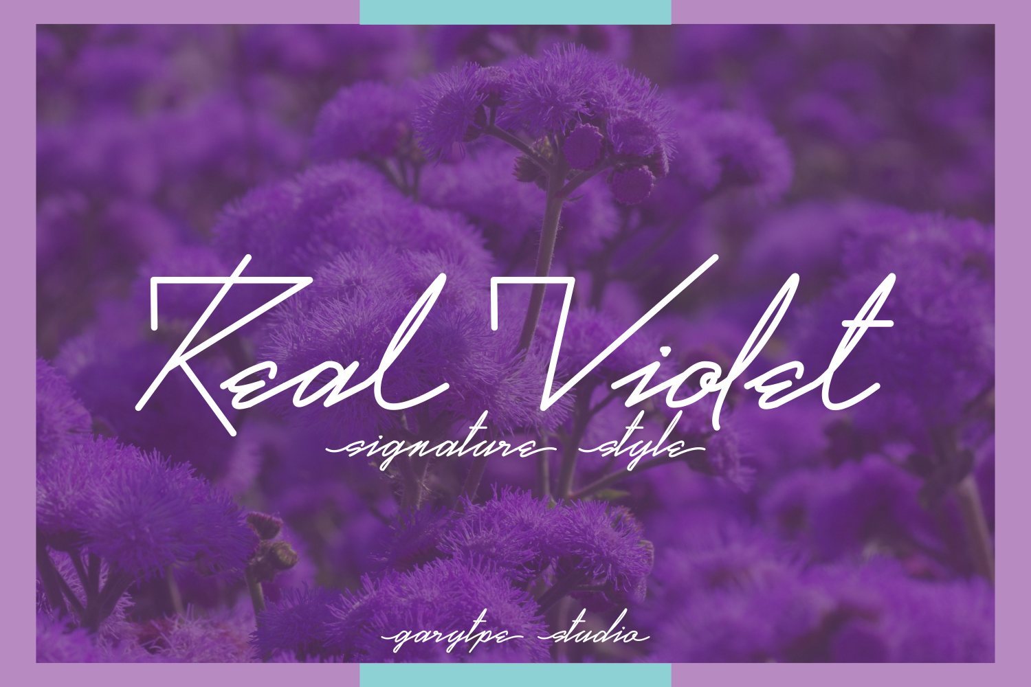 Download Real Violet Demo font | fontsme.com