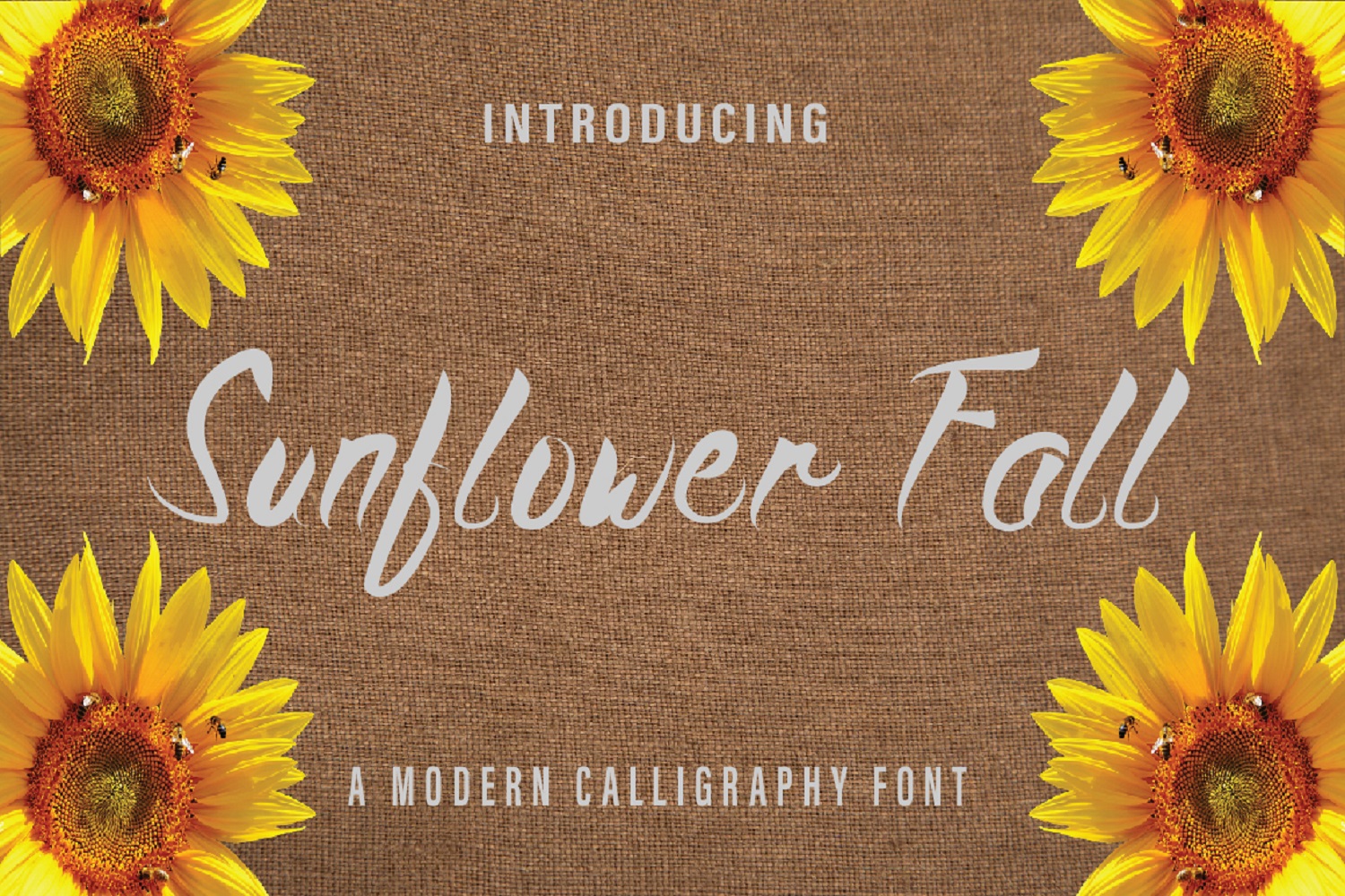 Download Sunflower Fall font | fontsme.com