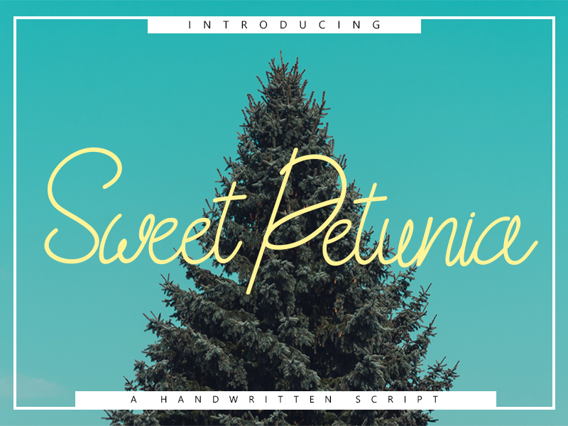 Download Sweet Petunia font | fontsme.com