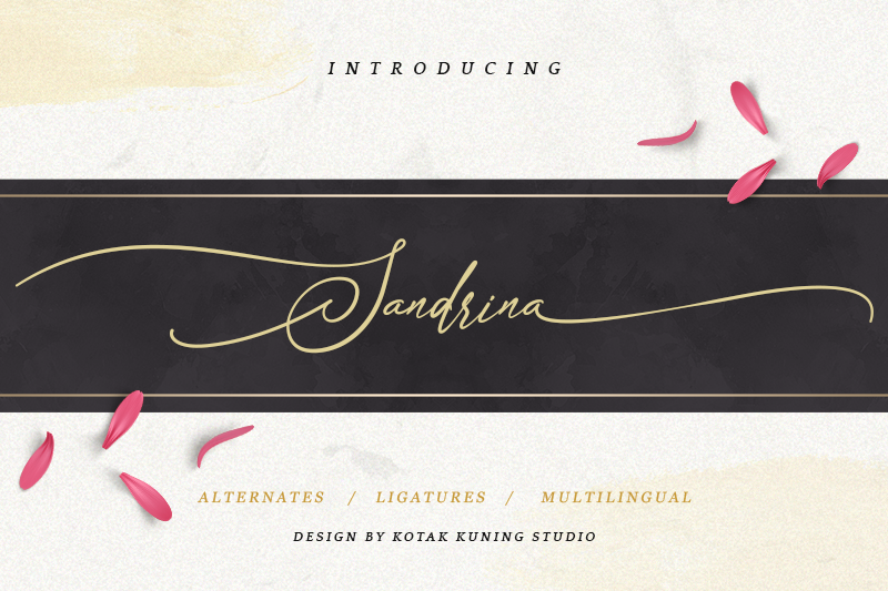 Download Sandrina font | fontsme.com
