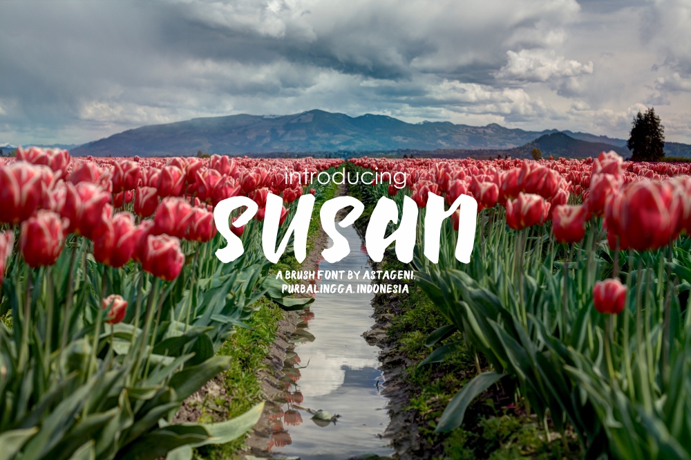 Download Susan font | fontsme.com