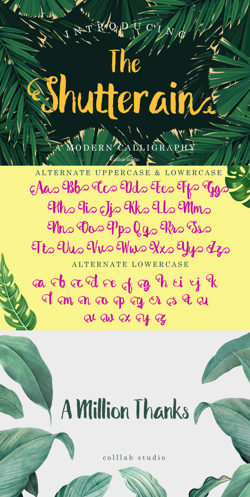 Download The Shutterain font | fontsme.com