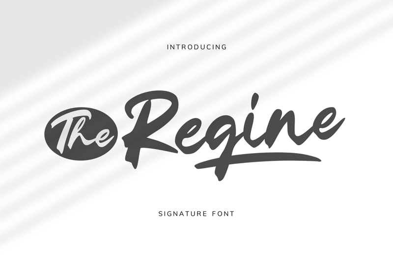 Download The Regine Demo font | fontsme.com