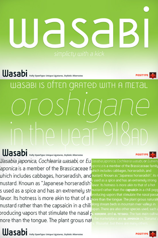 Download Wasabi-Bold font | fontsme.com