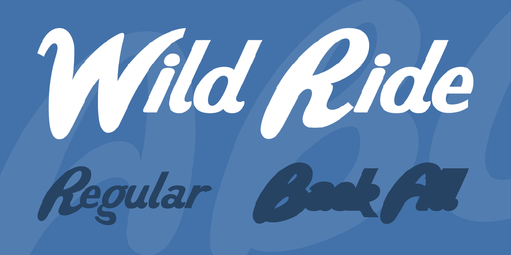 Download Wild Ride font | fontsme.com