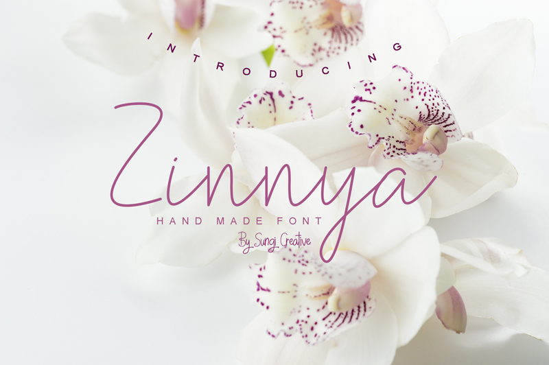 Download Zinnya font | fontsme.com